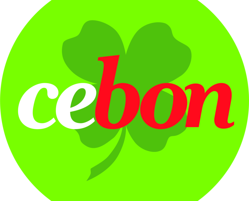 Home - Team Cibel Cebon Allnuts