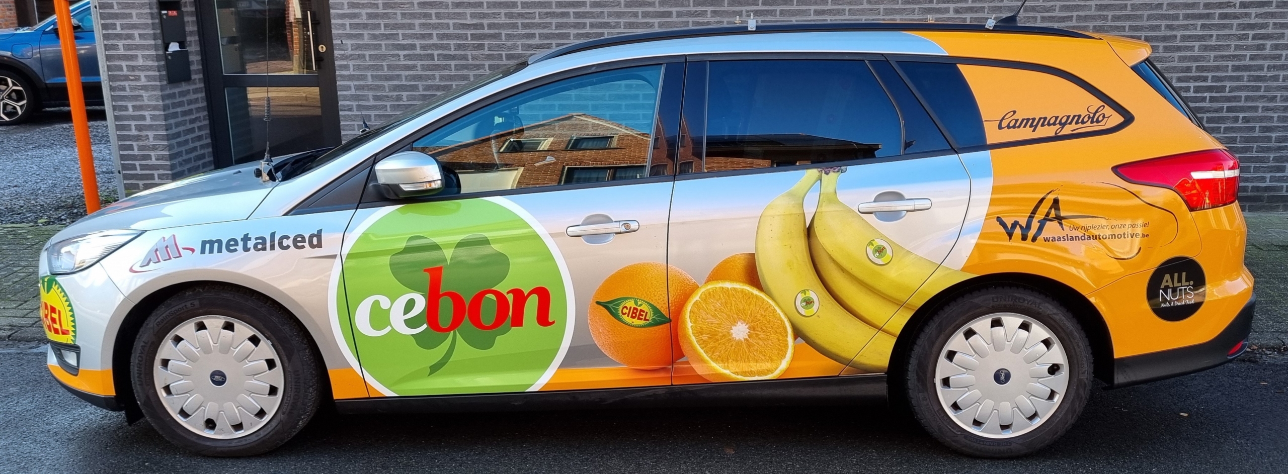 Team Cibel Cebon Allnuts – Team Cibel Cebon Allnuts